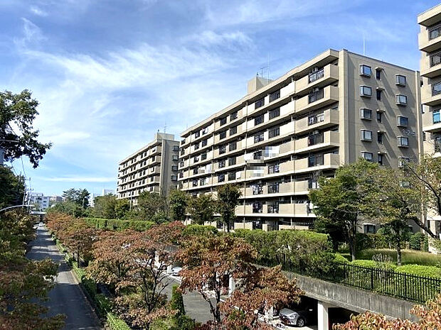 グリーンコープ南大沢 3LDK 6階の中古マンション情報【スマイティ】物件番号：13-8669951