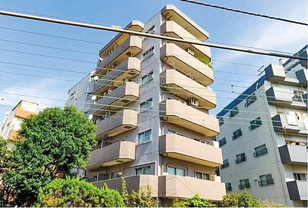 マンション多摩川 1LDK 2階の中古マンション情報【スマイティ】物件番号：13-8322763